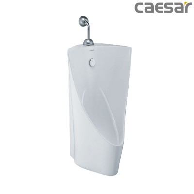 Bồn tiểu nam đặt sàn Caesar U0296 - Thiết bị vệ sinh Caesar chính hãng giá rẻ nhất HCM